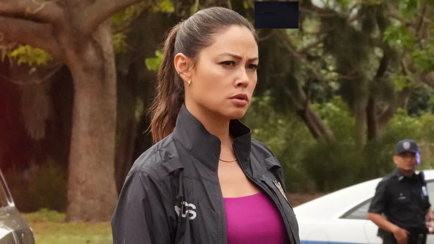 Vanessa Lachey Ethnicity, Heritage, Family Roots, Career, and More ...