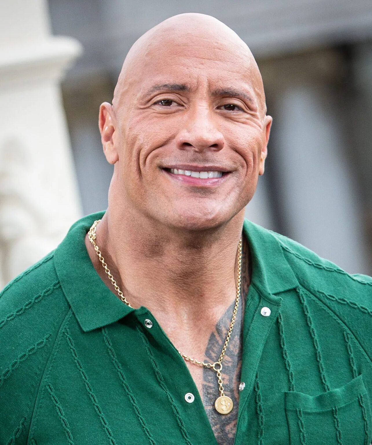 Dwayne Johnson Ethnicity, Heritage, and Family Roots, Career and More ...